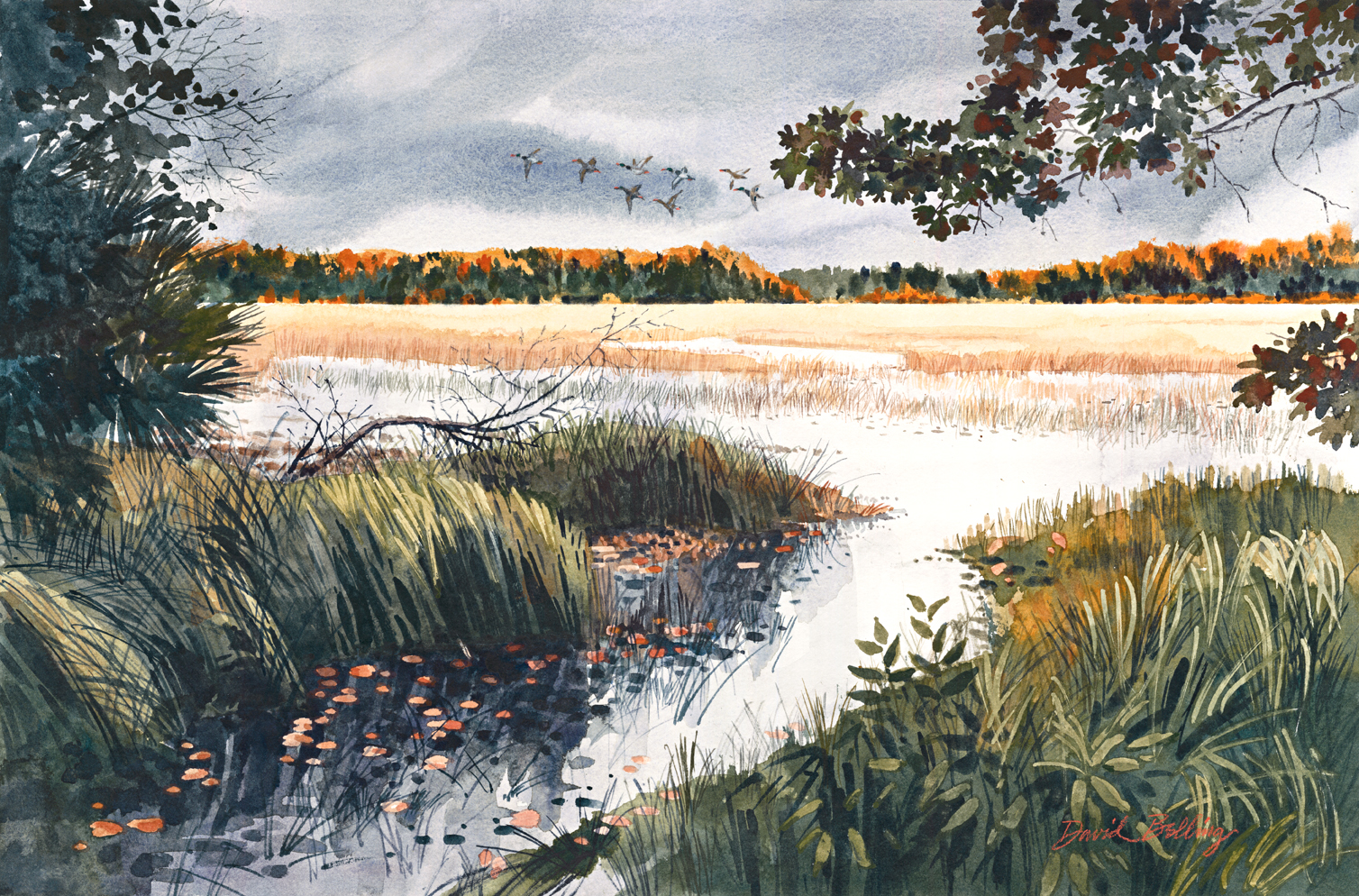 Frame Gallery & Gifts