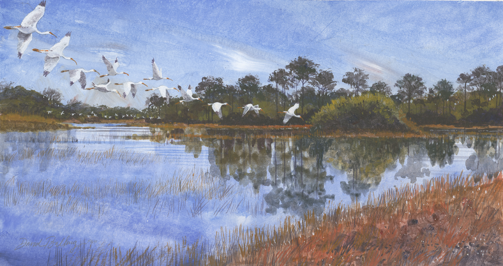 Frame Gallery & Gifts