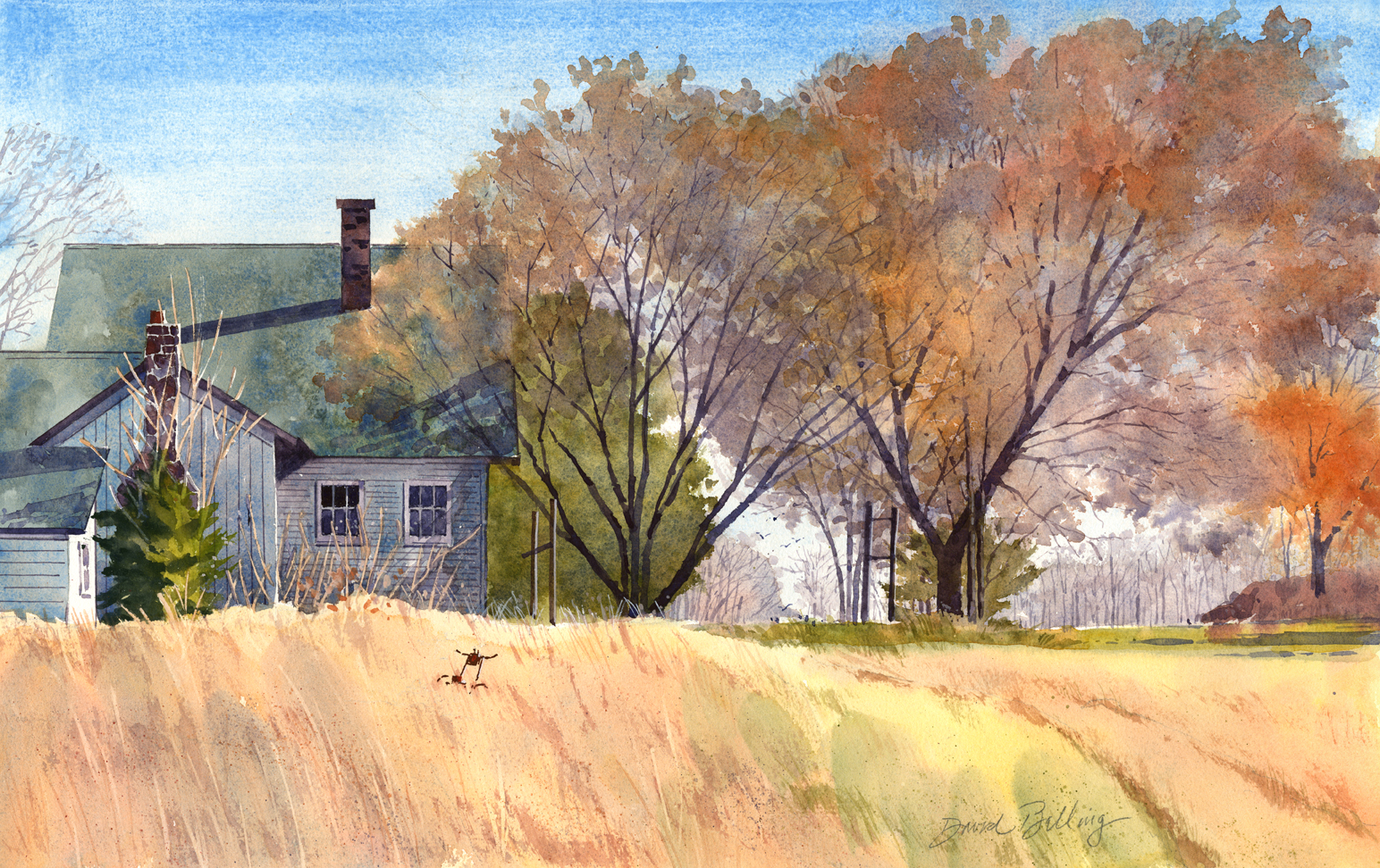 Frame Gallery & Gifts