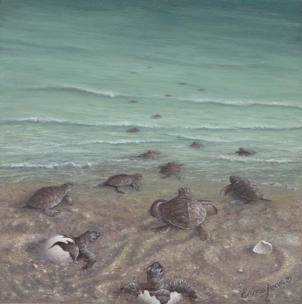 Frame Gallery & Gifts